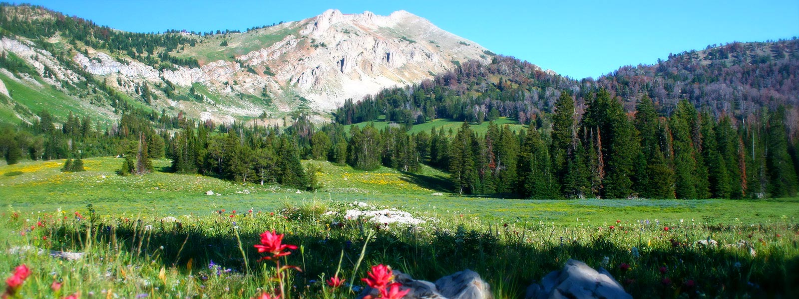 Experience the best Montana Dude Ranch at Covered Wagon Ranch