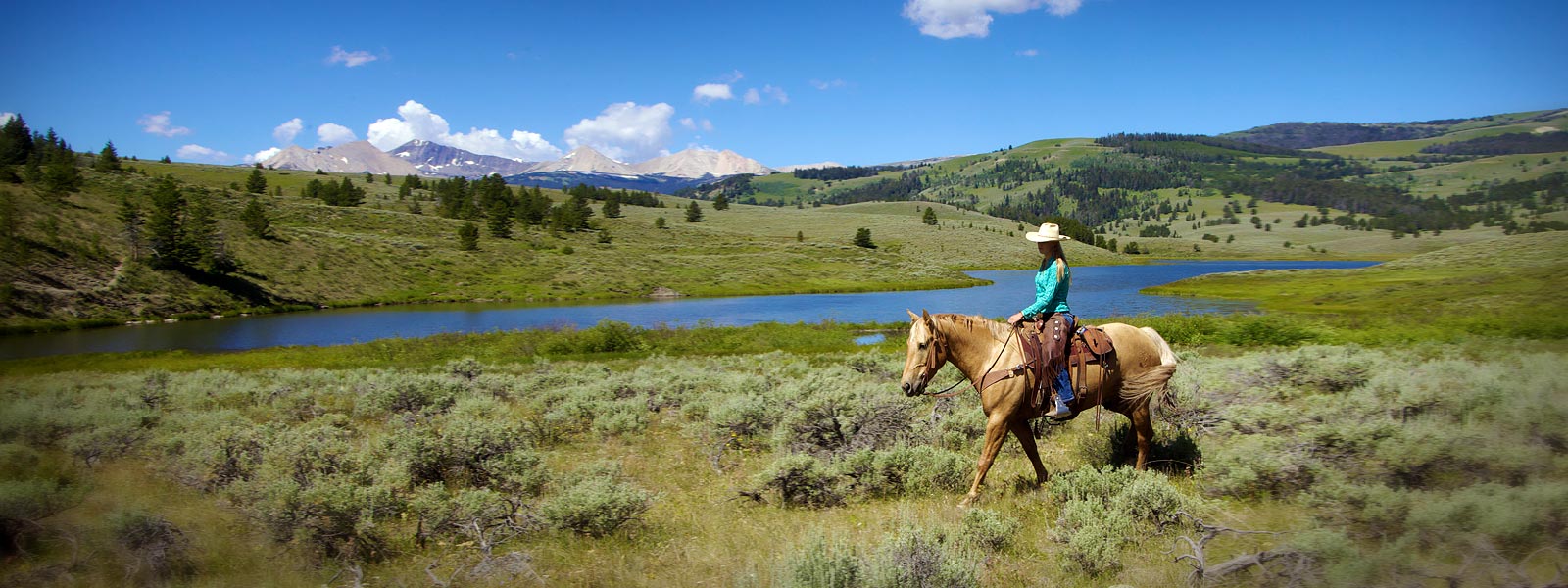 Experience the best Montana Dude Ranch at Covered Wagon Ranch
