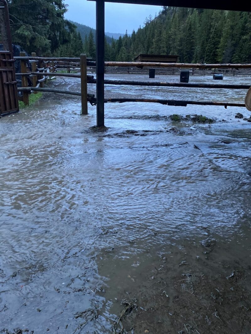June in Review: Reflecting on a 1000 Year Flood - Covered Wagon Ranch