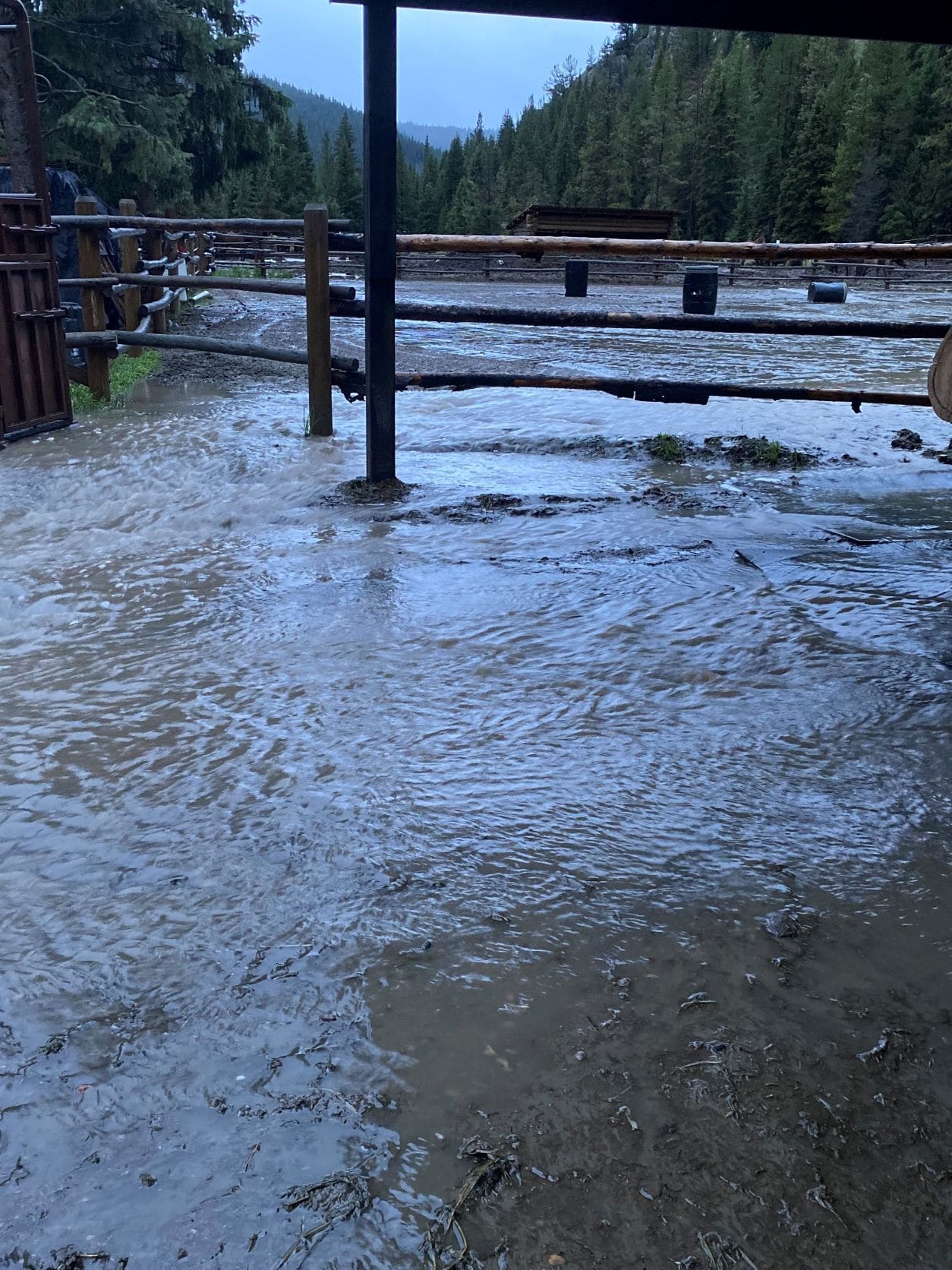 June in Review: Reflecting on a 1000 Year Flood - Covered Wagon Ranch