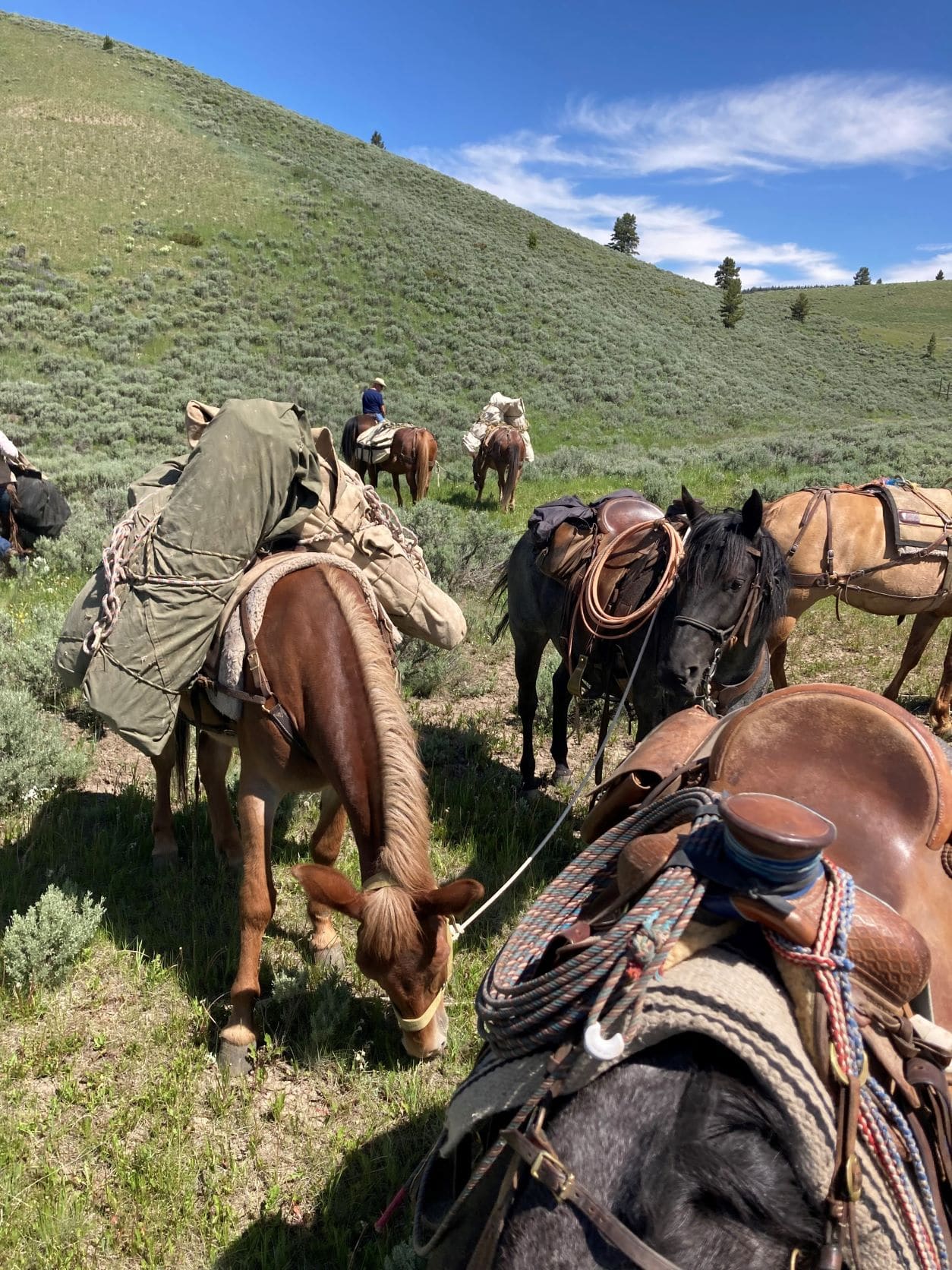 How to Pack for a Dude Ranch Adventure - Covered Wagon Ranch